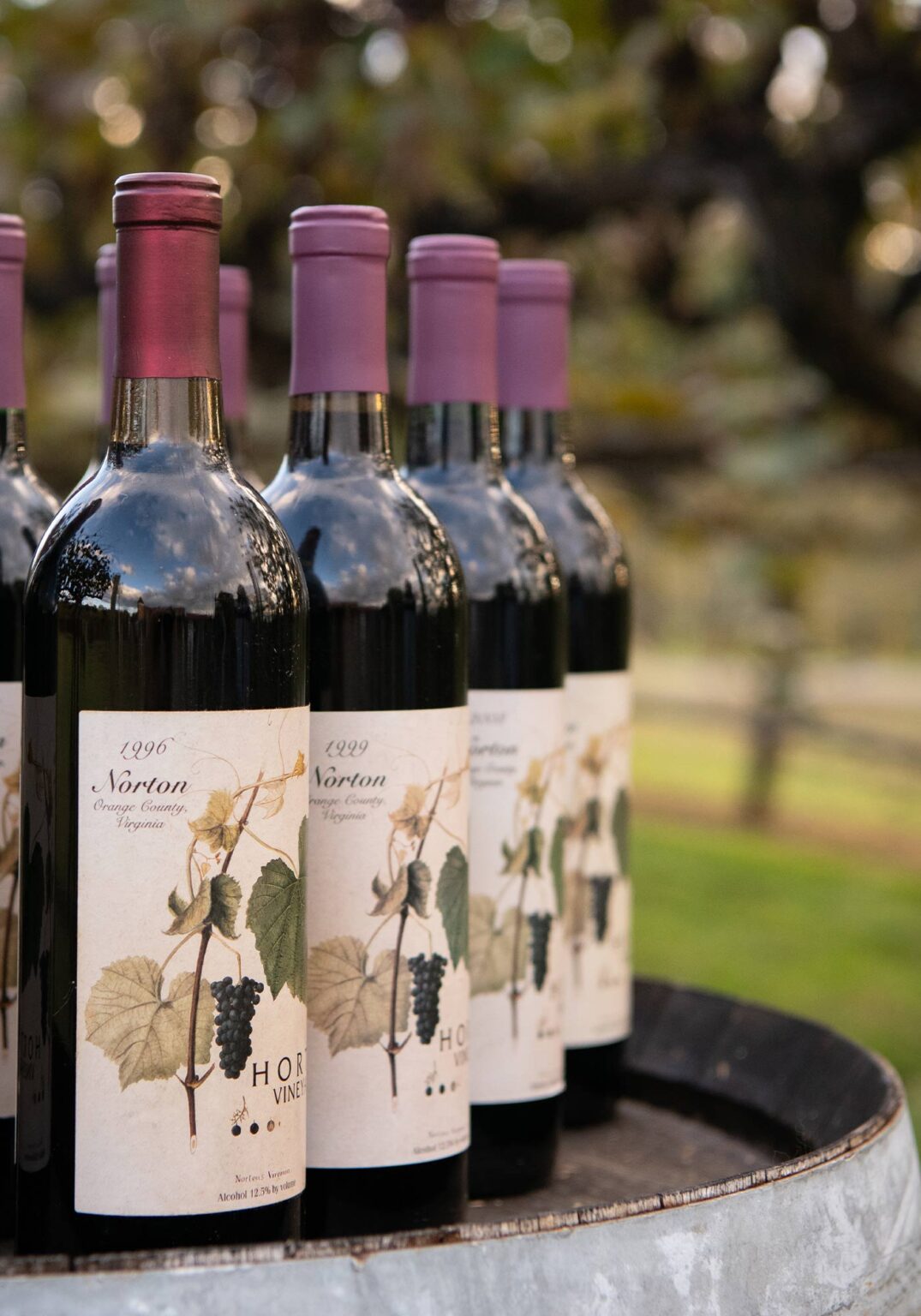 Horton Vineyards Hosts Rare Tasting for 30 Years of Norton Wine - Wine and Country Life
