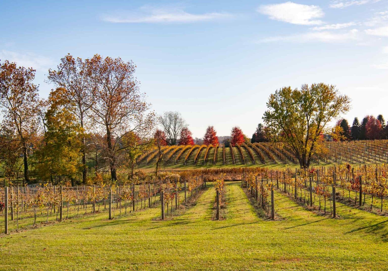 Virginia Wine & Country Life - Wine and Country Life