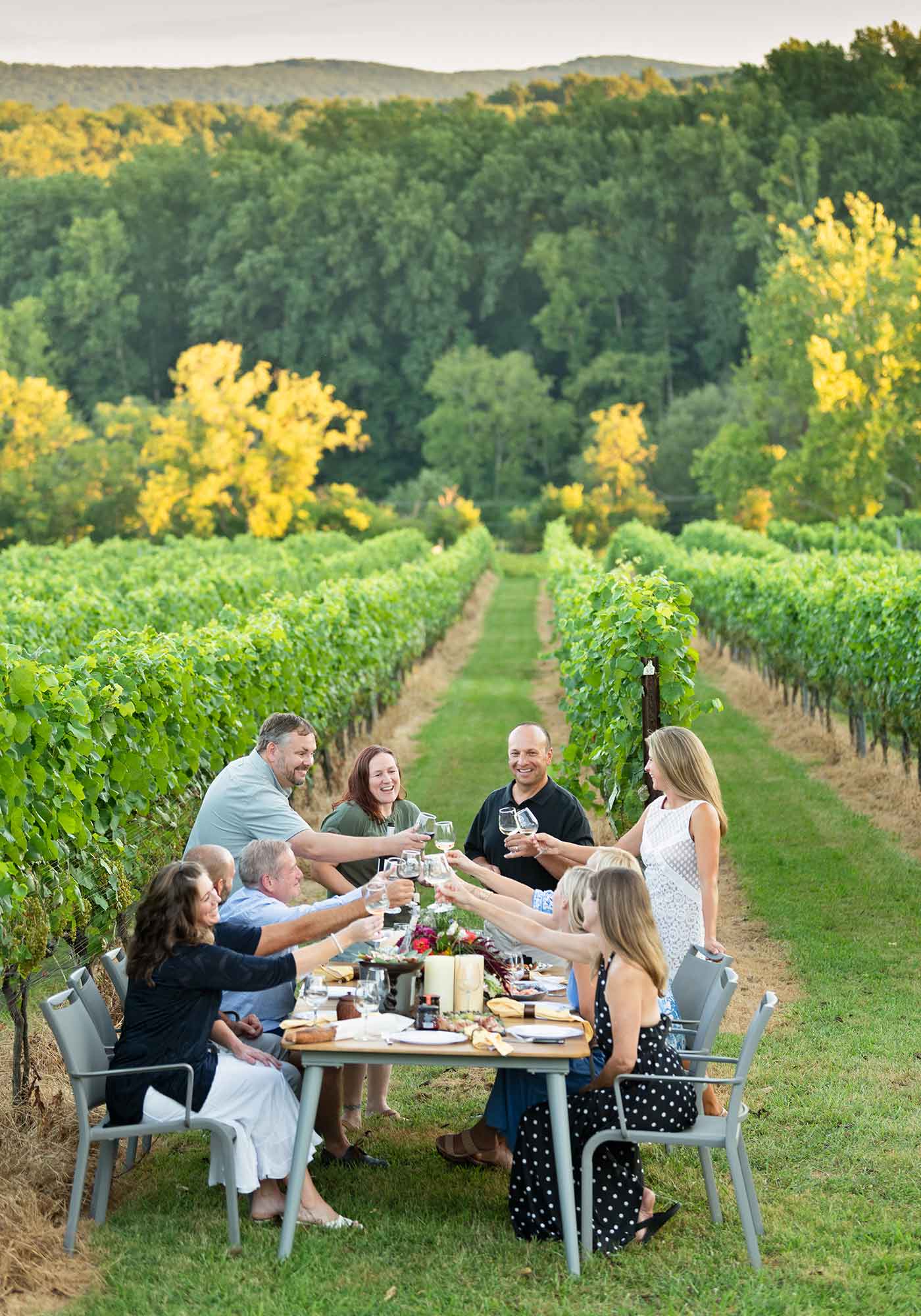 Top Wineries in Northern Virginia - Wine and Country Life