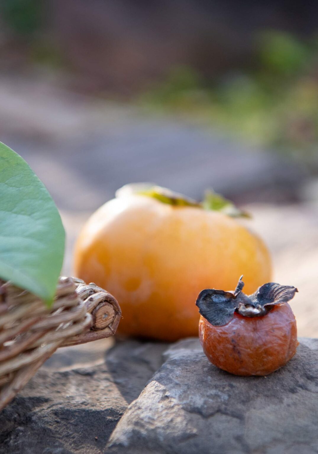Discover the Fuyu Persimmon this Thanksgiving - Wine and Country Life